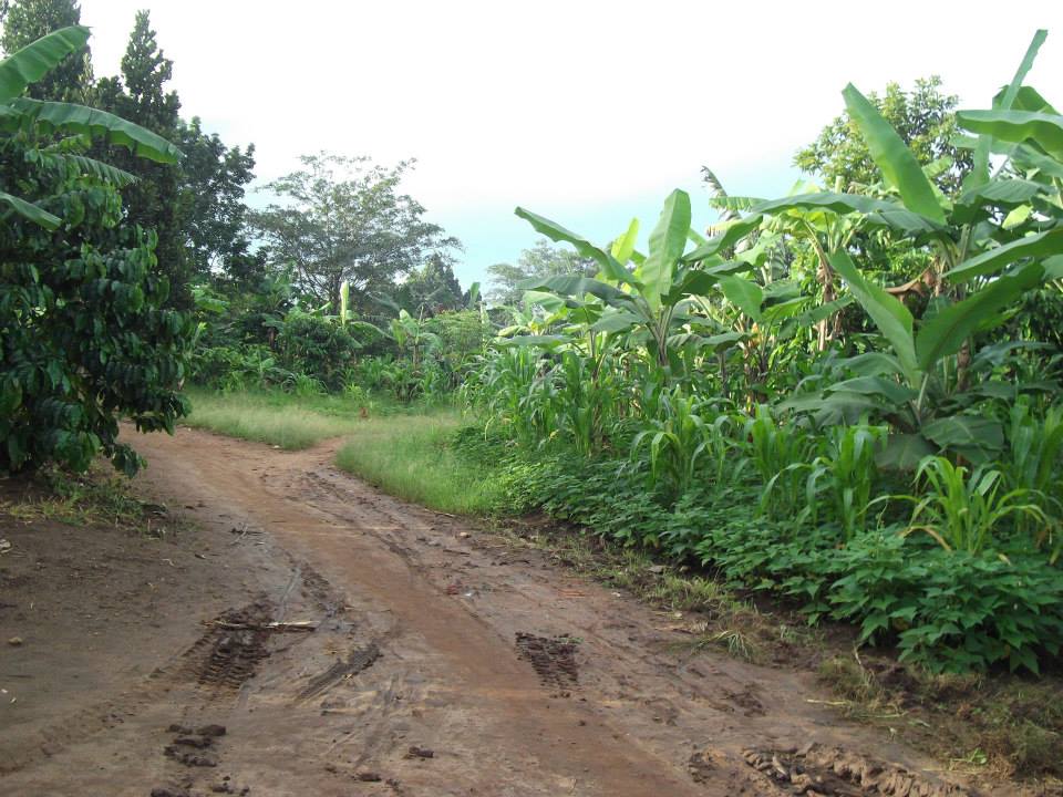 News – Florence Migga